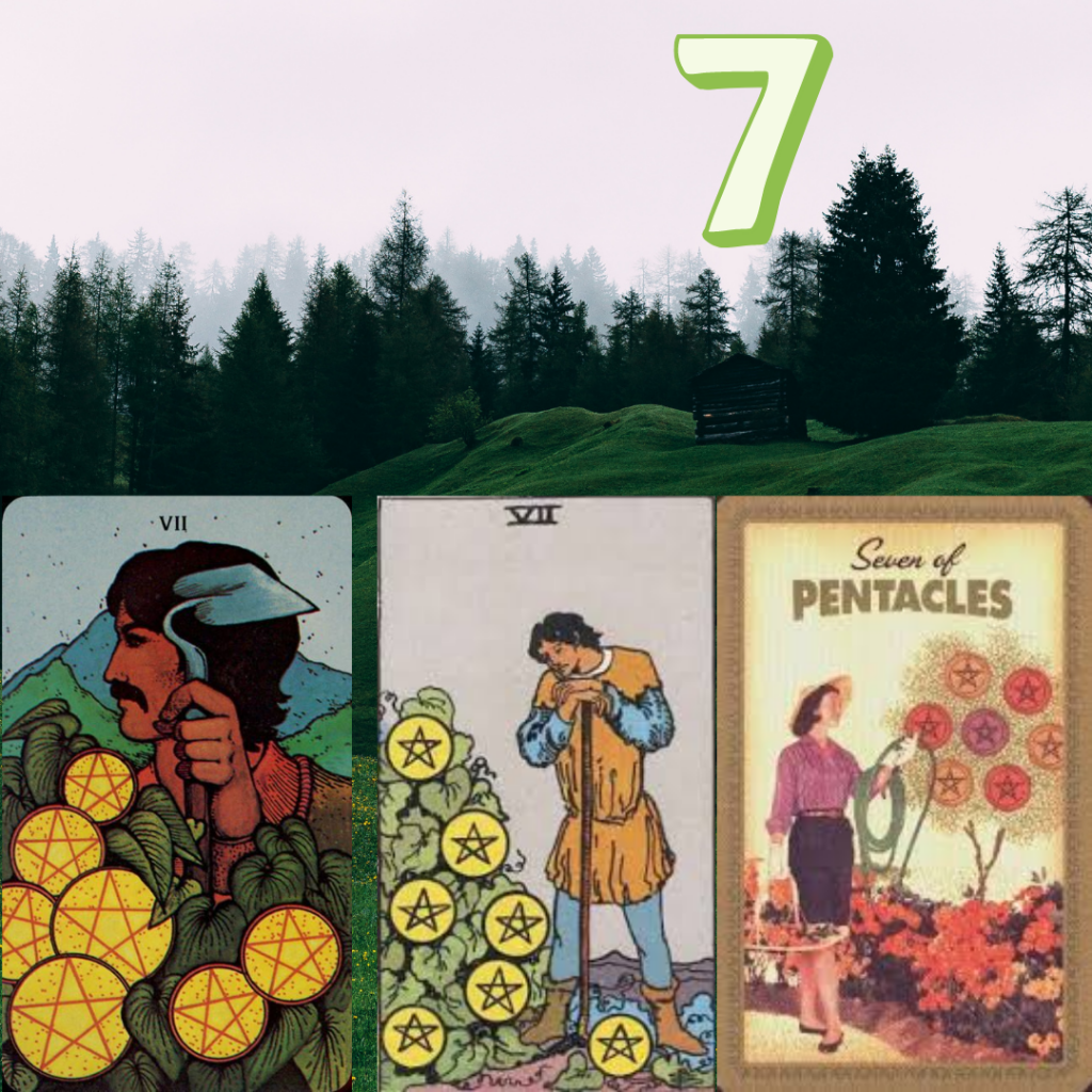 7 of Pentacles - Your Hard Work Pays Off! | Tarot by Email